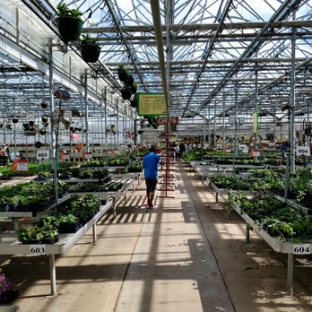 WOLDHUIS FARMS SUNRISE GREENHOUSE - Updated May 2024 - 50 Photos & 54 ...