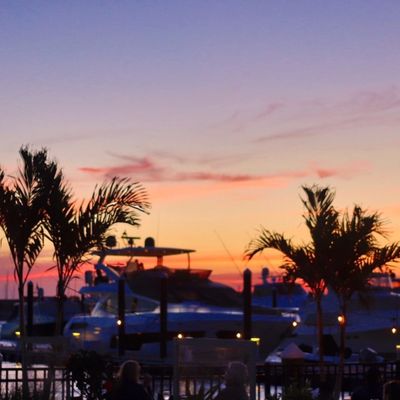 THE REEF - 286 Photos & 216 Reviews - 10 Howard Wharf, Newport, Rhode ...