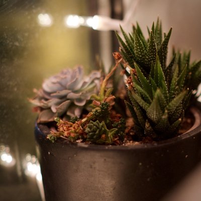 OM LIFE WELLNESS MODERN RECOVERY SPA - Updated December 2025 - 57 ...