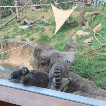 BRANDYWINE ZOO - Updated September 2025 - 178 Photos & 71 Reviews ...