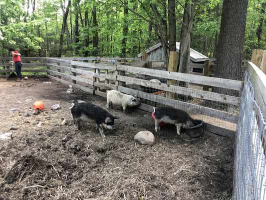 SMILING HILL FARM - Updated May 2025 - 168 Photos & 65 Reviews - 781 ...