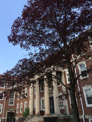 ALLEGHENY COLLEGE - Updated October 2025 - 53 Photos - 454 N Main St ...