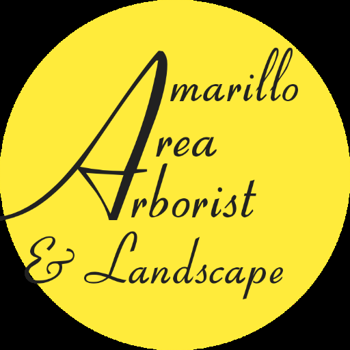 AMARILLO AREA ARBORIST & LANDSCAPE - Updated August 2024 - Amarillo ...