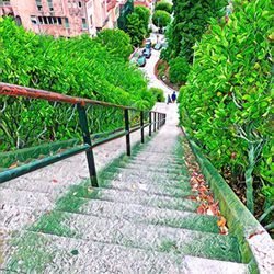 LYON STREET STEPS - 583 Photos & 345 Reviews - Lyon Street & Green St ...
