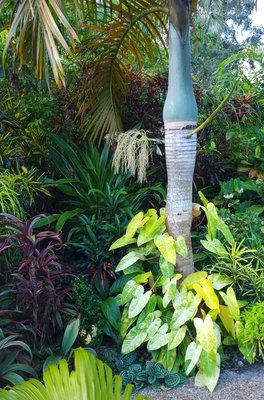 JESSE DURKO’S NURSERY - Updated December 2025 - 114 Photos & 46 Reviews ...