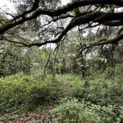 LONG KEY NATURAL AREA & NATURE CENTER - 299 Photos & 32 Reviews - 3501 ...
