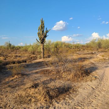 MACDONALD’S RANCH - Updated May 2024 - 425 Photos & 264 Reviews - 26540 ...