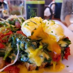 FIG TREE CAFE - Updated July 2024 - 3043 Photos & 2201 Reviews - 2400 ...