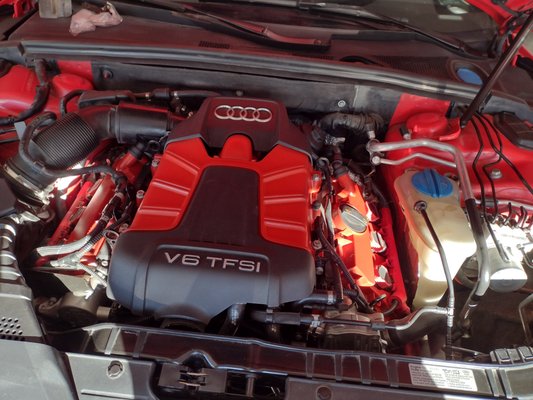 ECS TUNING - Updated April 2025 - 154 Photos & 642 Reviews - 1000 ...