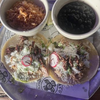 XACO TACO - Updated July 2024 - 794 Photos & 578 Reviews - 370 Richmond ...