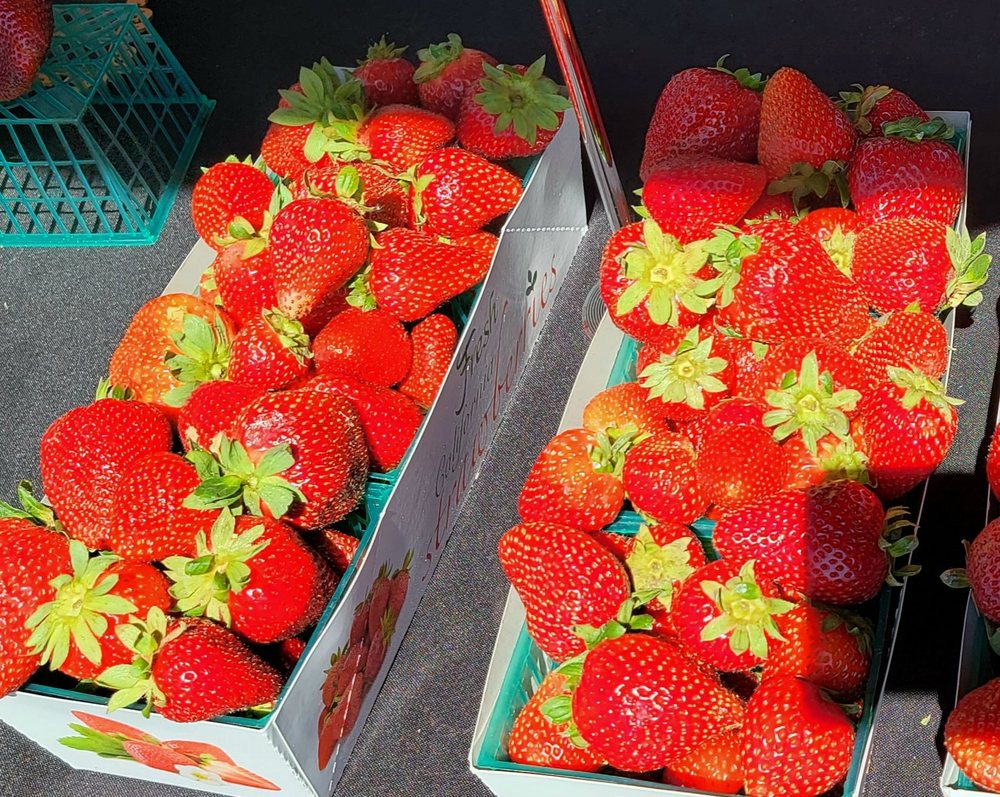 NAI’S BERRY FARM - Updated May 2025 - 26 Photos & 11 Reviews - 7314 ...