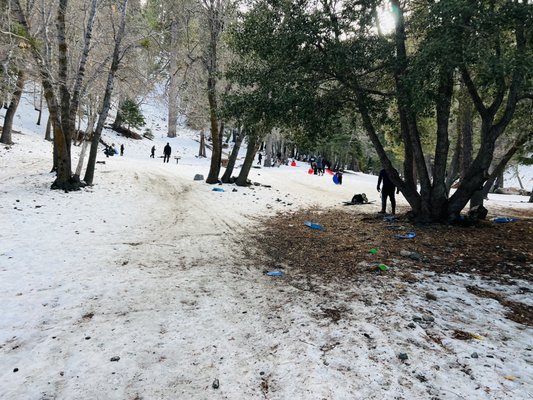 APPLE TREE CAMPGROUND - Updated December 2025 - 22 Photos - Wrightwood ...