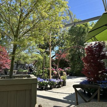 HIGH HAND CAFE - Updated July 2024 - 1402 Photos & 898 Reviews - 3750 ...