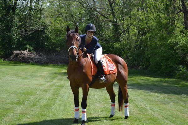 WEST WIND STABLES - Updated October 2025 - 16 Photos - 4787 Haley Rd ...