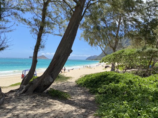 ALEX ALOHA TOURS - Updated December 2025 - Honolulu, Hawaii - Bus Tours ...