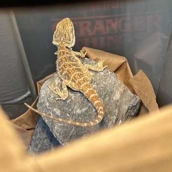 EAST BAY VIVARIUM - Updated November 2024 - 601 Photos & 587 Reviews ...