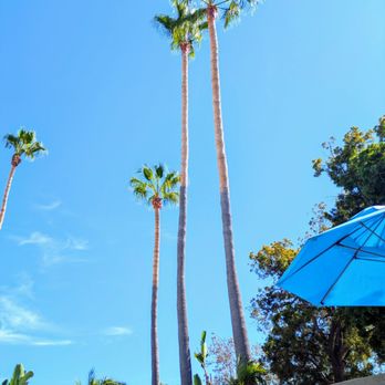 DOUBLETREE BY HILTON HOTEL SAN DIEGO - MISSION VALLEY - Updated August ...