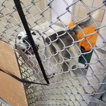 MONTGOMERY COUNTY SPCA - Updated December 2025 - 13 Photos & 52 Reviews ...