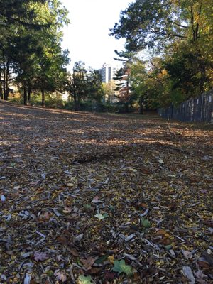 PORT CHESTER DOG PARK - Updated October 2025 - 13 Reviews - Grandview ...