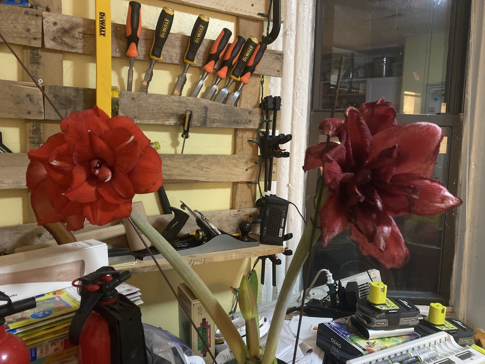 STEVE PANG ACUPUNCTURE - Updated September 2025 - 36 Rivington St, New ...