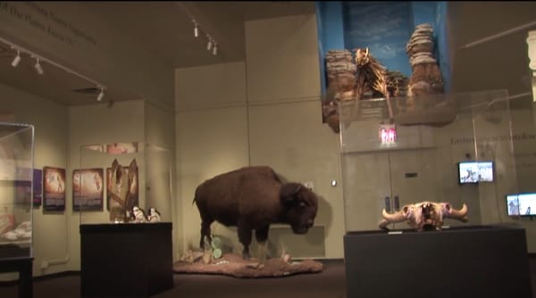 COMANCHE NATIONAL MUSEUM AND CULTURAL CENTER - Updated May 2024 - 13 ...