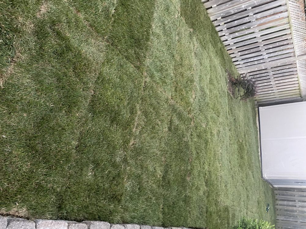 DT MAINTENANCE SERVICES - Updated October 2024 - 14 Chamney Court ...