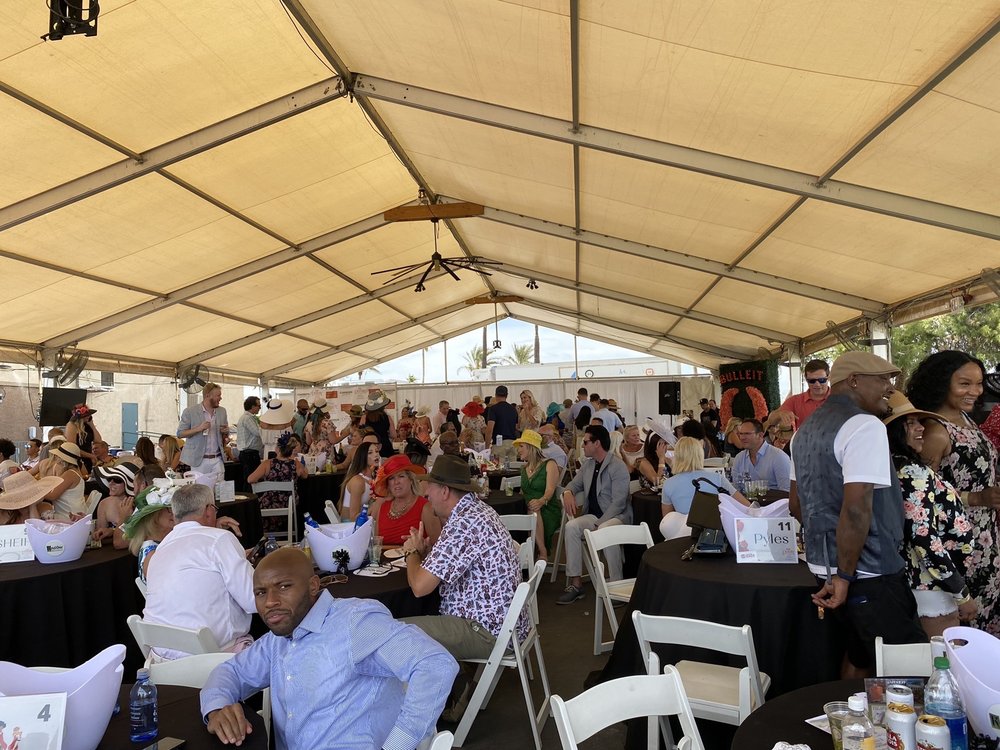 TURF PARADISE - 229 Photos & 98 Reviews - Horse Racing - 1501 W Bell Rd ...