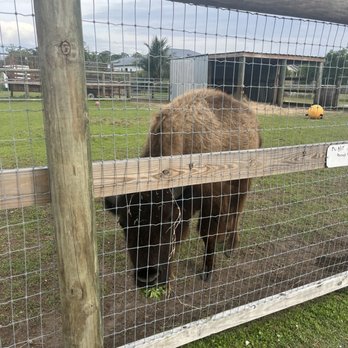 CRAZY DINGO BREWING - TEMP. CLOSED - Updated December 2025 - 130 Photos ...