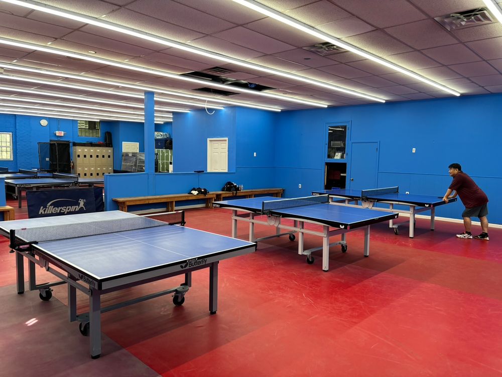 K PING PONG CLUB - Updated July 2025 - 13 Photos - 229 W Shore Ave ...