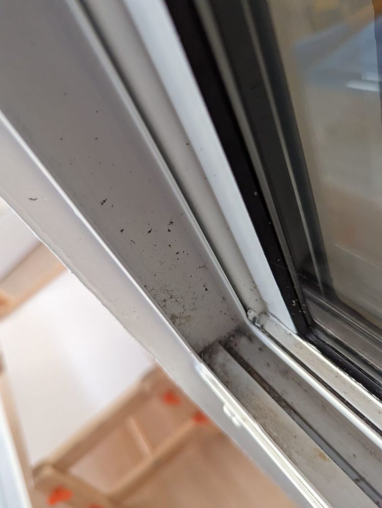 MOPO CLEAN - Updated April 2025 - 58 Photos & 13 Reviews - Newark ...