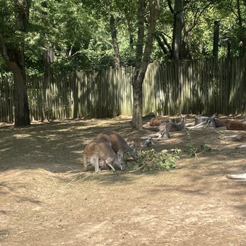 NASHVILLE ZOO - Updated December 2024 - 1363 Photos & 445 Reviews ...