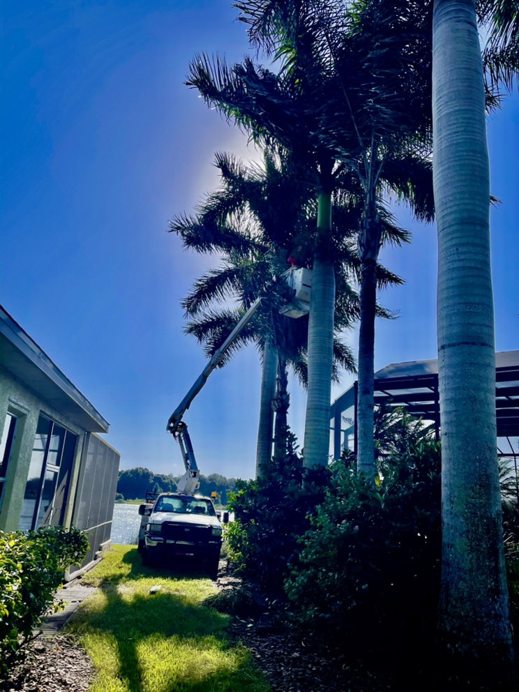 TROYER TREE SERVICE - Updated October 2025 - 77 Photos & 12 Reviews ...