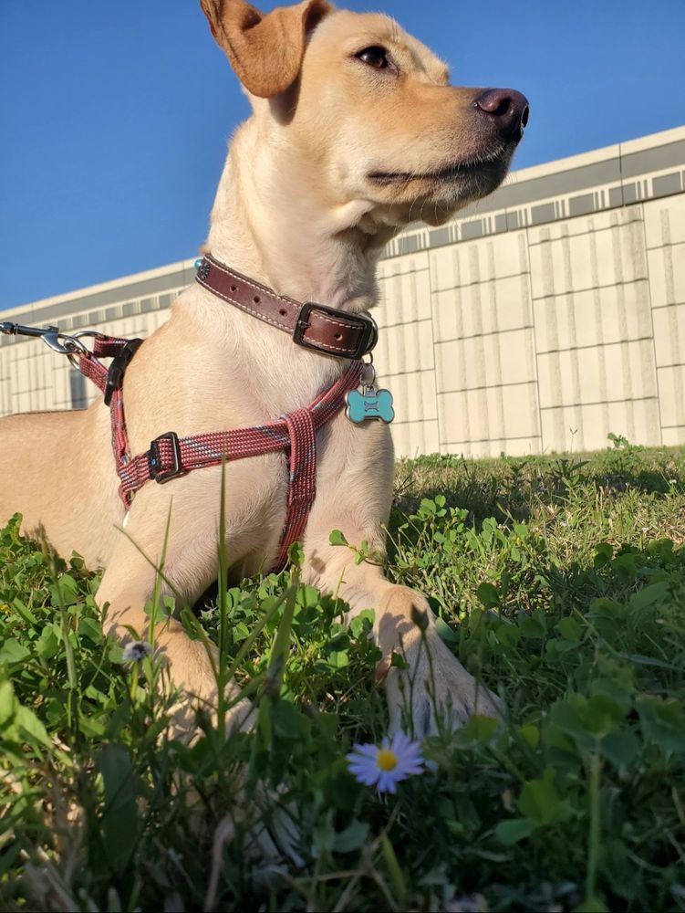 THE SPARE HUMAN - Updated July 2024 - Request Information - Katy, Texas ...