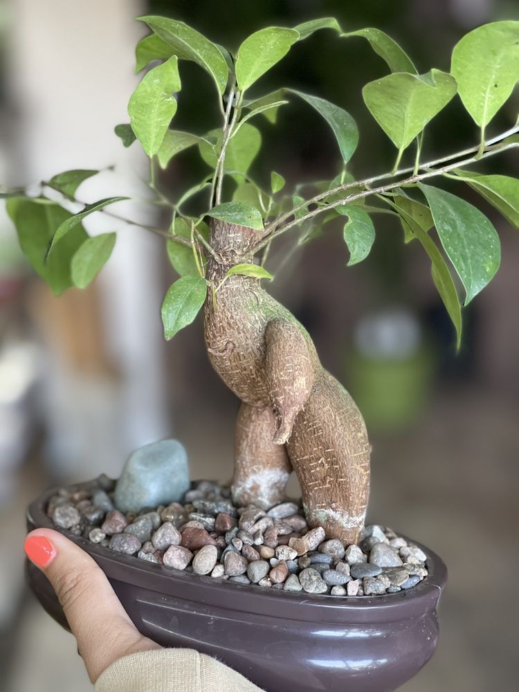 MUNDIAL COFFEE - Updated April 2025 - 484 Photos & 304 Reviews - 1725 ...