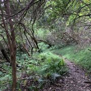 HAU’ULA LOOP TRAIL - 131 Photos & 21 Reviews - 54-55 Maakua Rd, Hauula ...