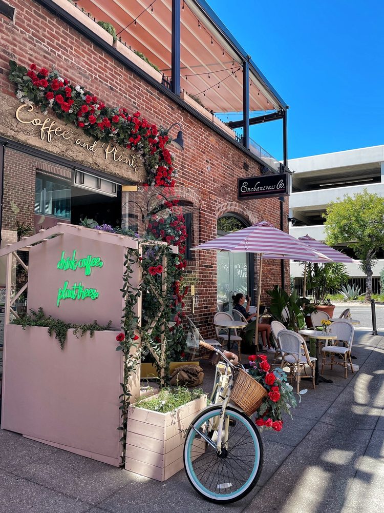 COFFEE AND PLANTS - Updated December 2024 - 1733 Photos & 661 Reviews ...