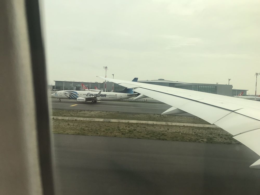 EGYPTAIR - Updated September 2024 - Terminal Caddesi 1, İstanbul ...