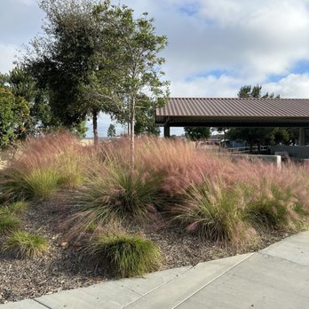 STANTON CENTRAL PARK - Updated August 2024 - 349 Photos & 143 Reviews ...