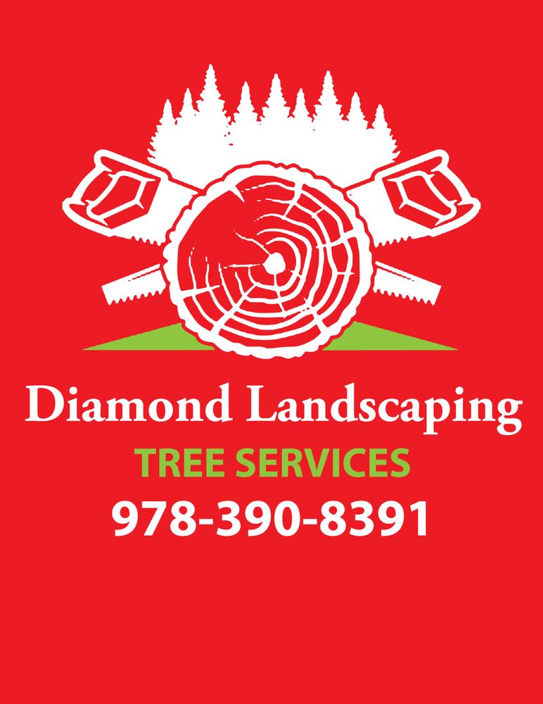 DIAMOND LANDSCAPING - Updated April 2025 - Methuen, Massachusetts ...