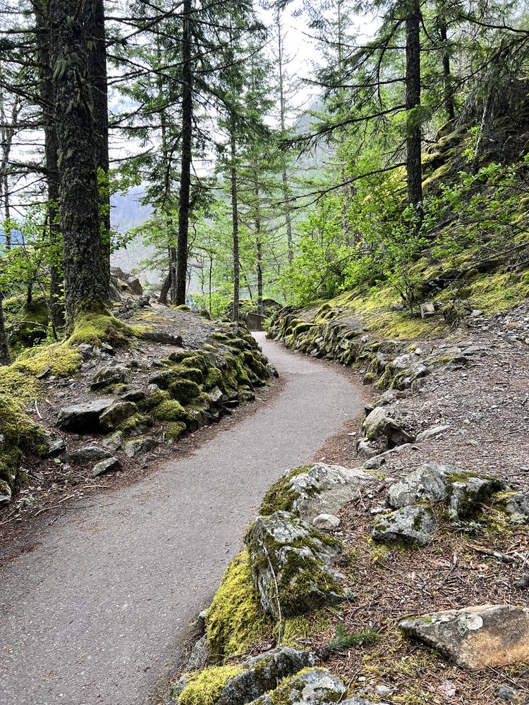 GORGE CREEK FALLS - Updated March 2025 - 16 Photos - Newhalem ...