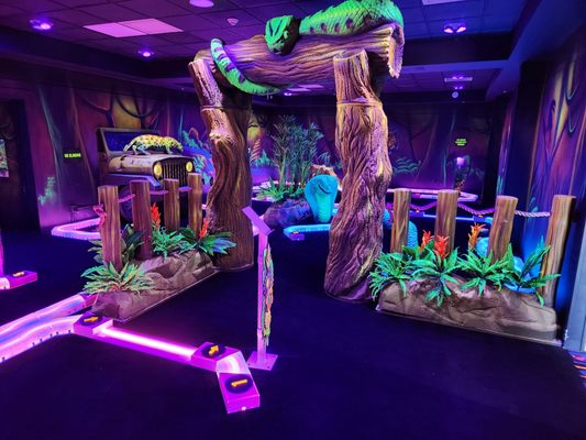 RAINFOREST BLACK LIGHT GOLF & ARCADE - Updated January 2026 - 41 Photos ...