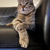 BARTLEY OPTICAL SALES - Updated August 2025 - 1300 W Optical Dr, Azusa ...