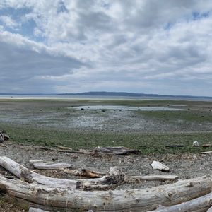 STROUM JEWISH COMMUNITY CENTER - Updated August 2025 - 11 Photos & 21 ...