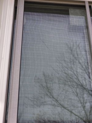 WINDOWKING - Updated January 2025 - 55 Photos & 66 Reviews - 1075 ...