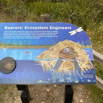 THE MK MORRISON KNUDSEN NATURE CENTER - Updated June 2025 - 149 Photos ...