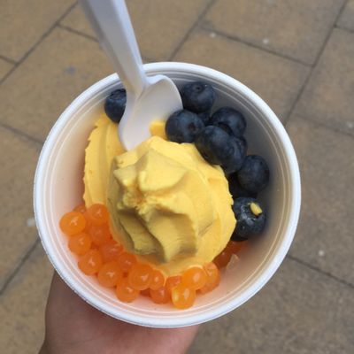 FRURT FROZEN YOGURT - Updated October 2025 - 13 Reviews - 41 Whitworth ...