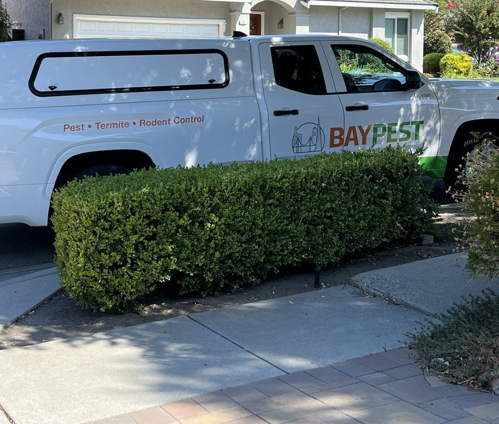 BAY PEST - Updated October 2025 - 28 Photos & 136 Reviews - 5729 Sonoma ...