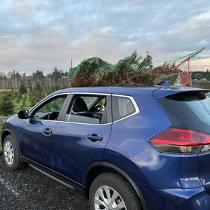 HEMSTROM VALLEY TREE FARM CHRISTMAS TREES - TEMP. CLOSED - Updated ...