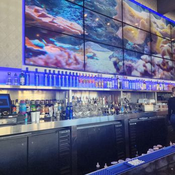 BLUE WASABI SUSHI & MARTINI BAR - 608 Photos & 607 Reviews - 2080 E ...
