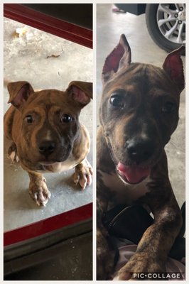 CABARRUS ANIMAL HOSPITAL - 12 Photos & 20 Reviews - Veterinarians ...